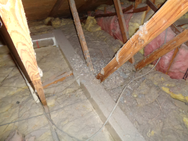 What’s Lurking In Your Attic Space? | Priority Home Inspections